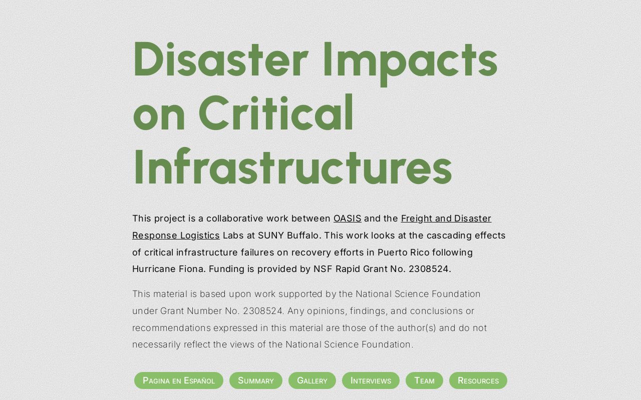 Disaster Impacts on Critical Infrastructures